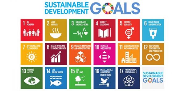 Sustainable Development Goals - Vision 2030